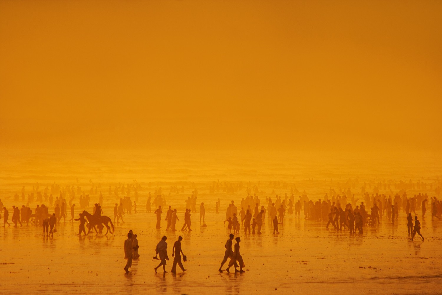 Syndicated insights and reports for a complete view of consumers in India