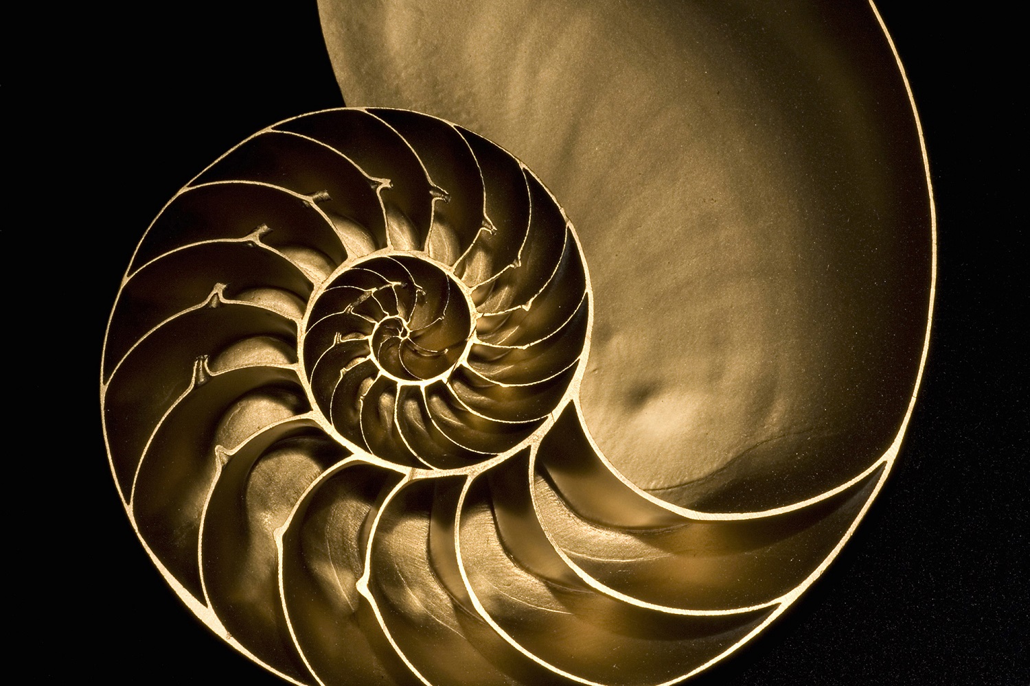 The effects of scale designs on answers