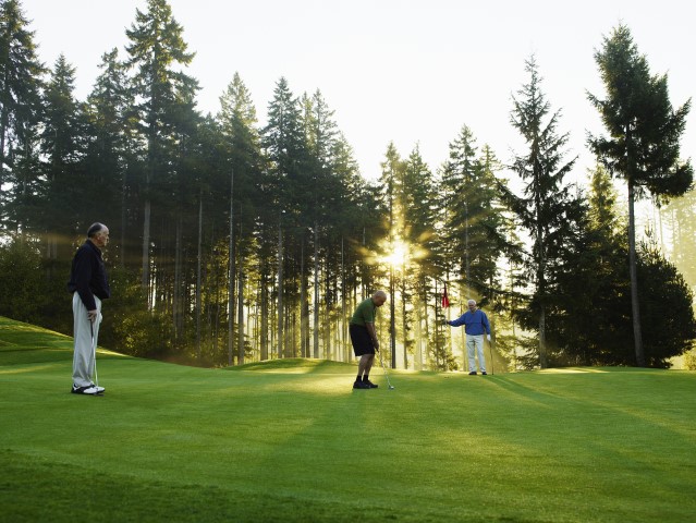 Seeing the forest through the trees. Or how holistic measurement ...