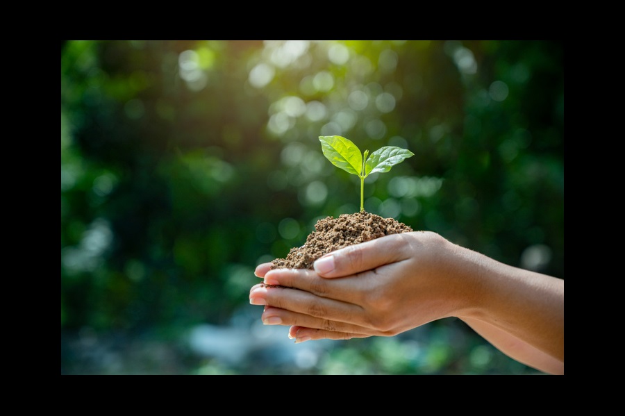 Buen momento para las empresas comprometidas con el medio ambiente