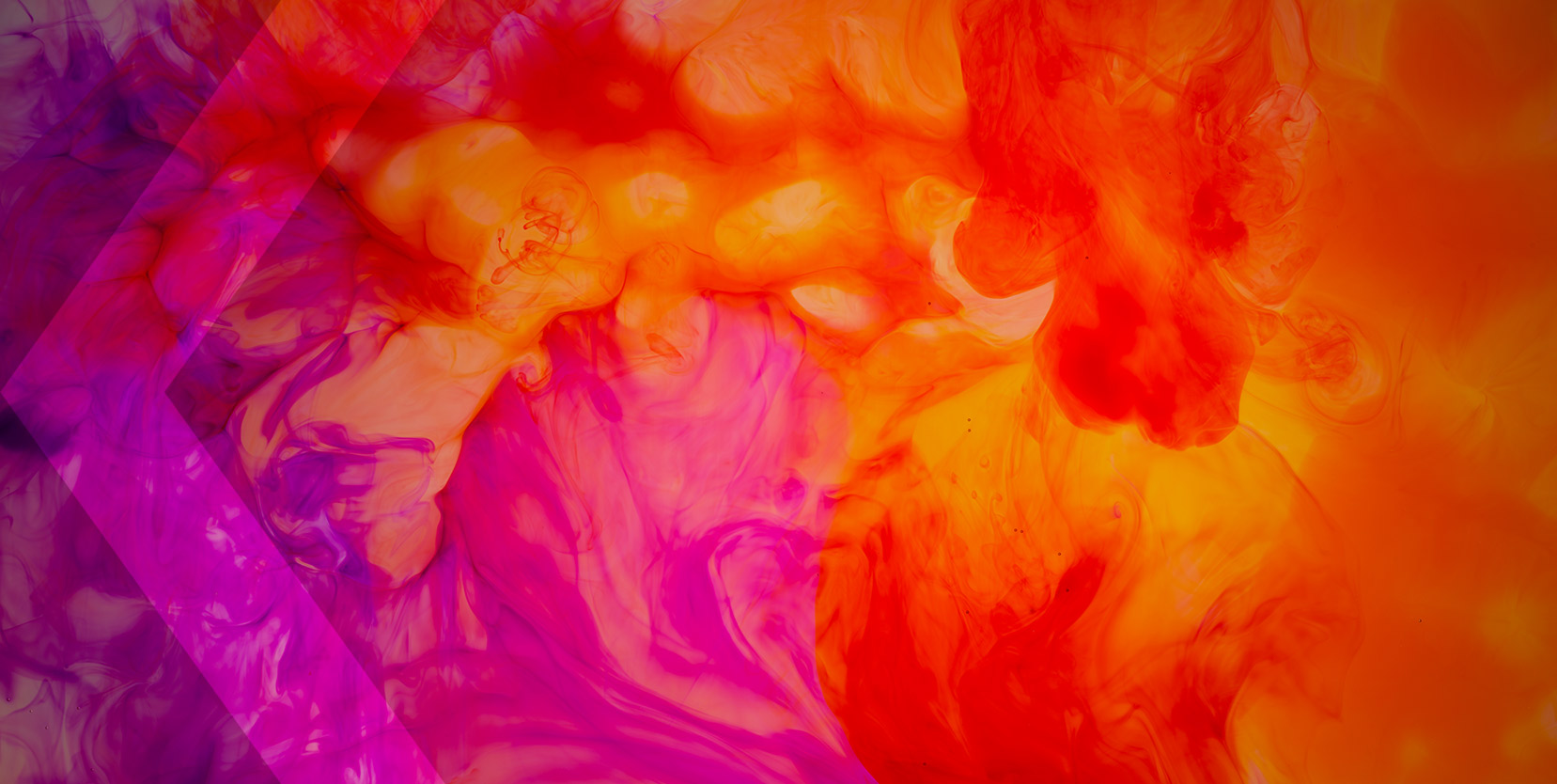 The Future of Alcohol Series